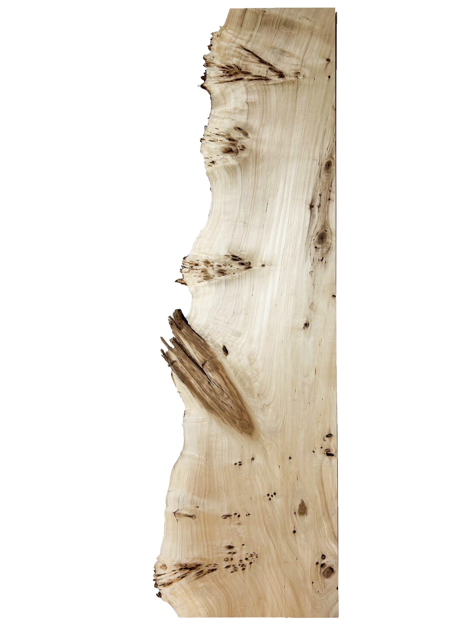 Mappa, European Burl - 48" x 9-14.5" x 3/4" - WE975 – Exotic Lumber