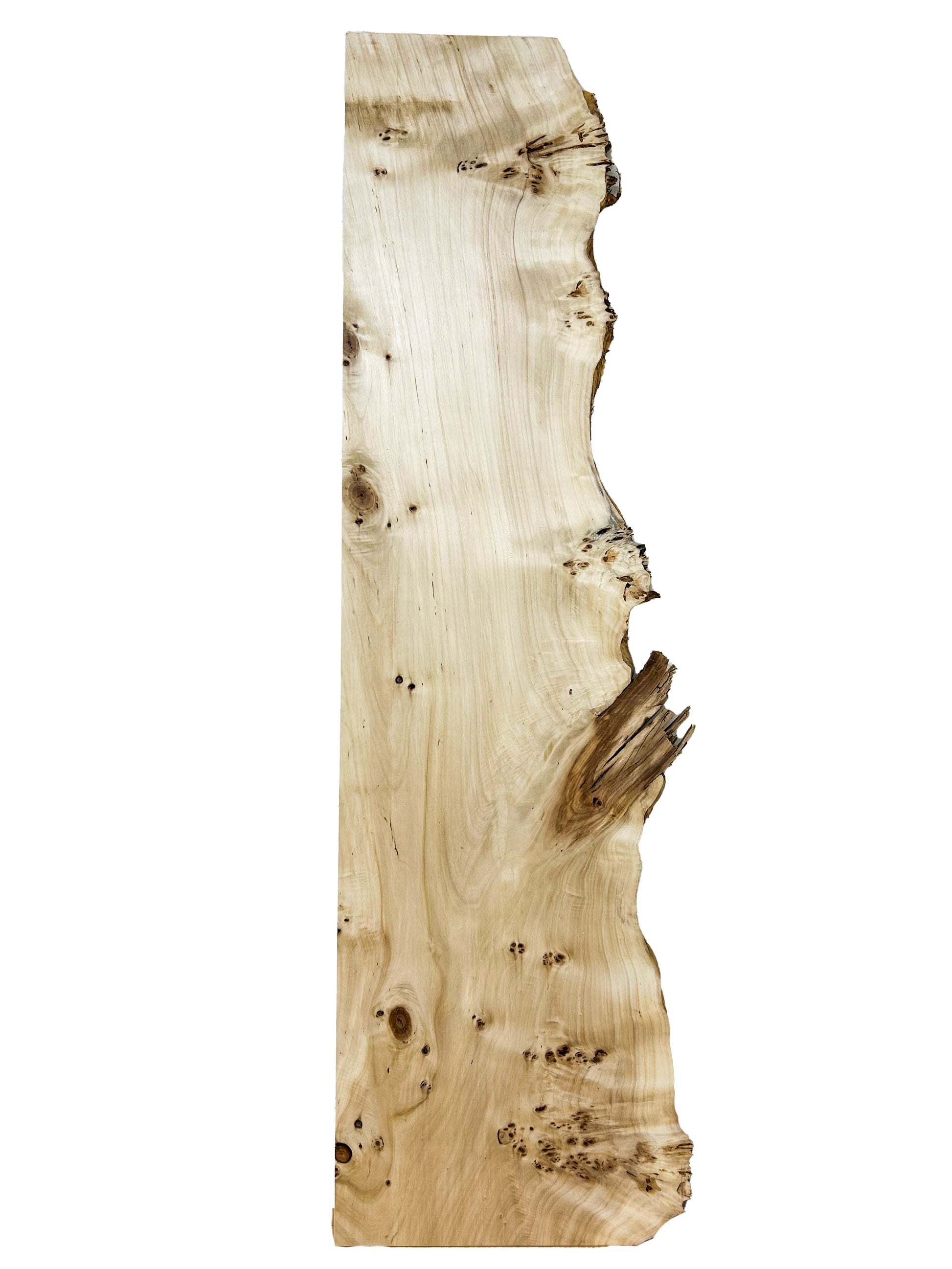 Mappa, European Burl - 48" x 9-14.5" x 3/4" - WE975 – Exotic Lumber