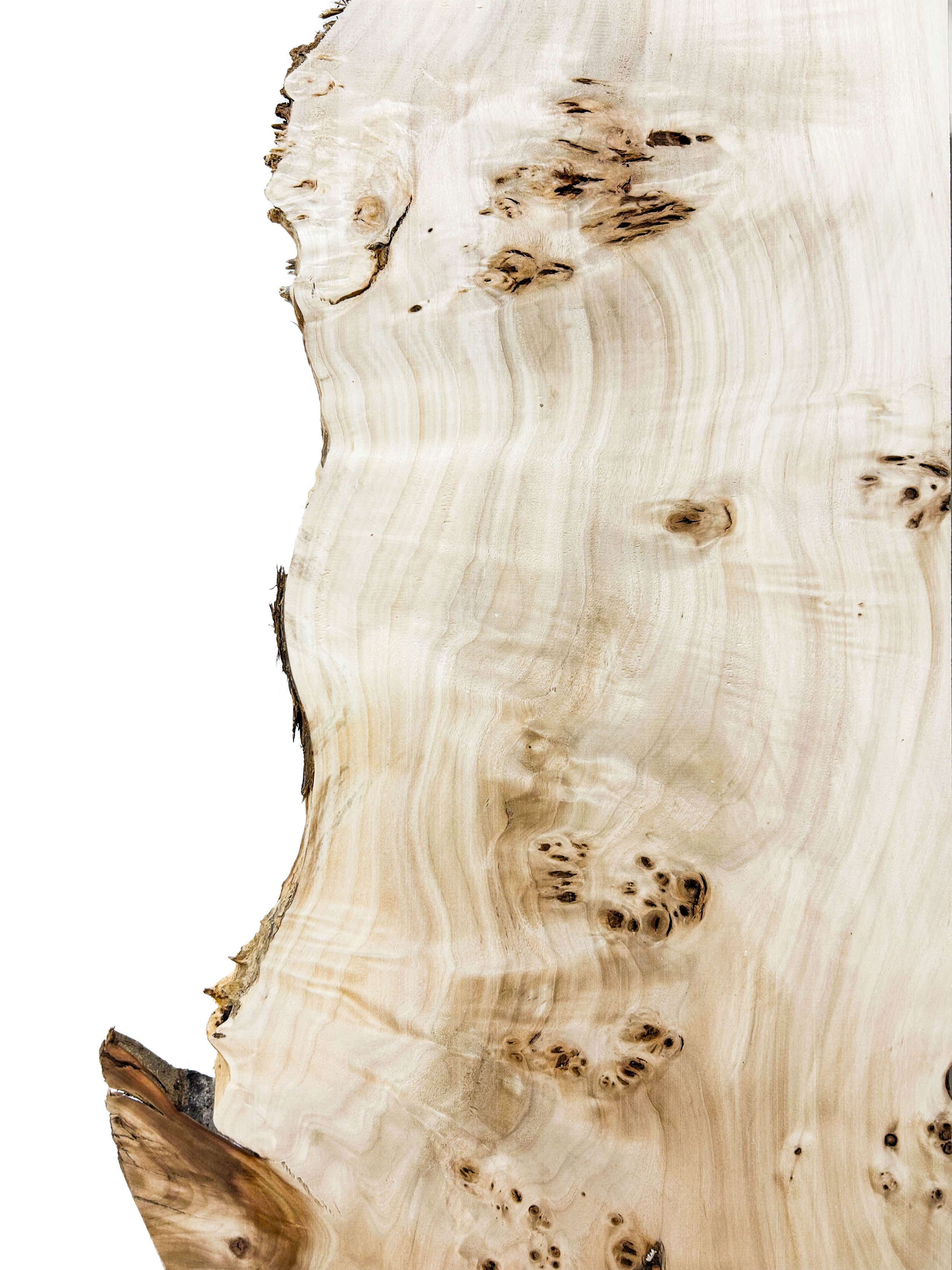 Mappa, European Burl - 48" x 9-13.5" x 3/4" - WE976 – Exotic Lumber