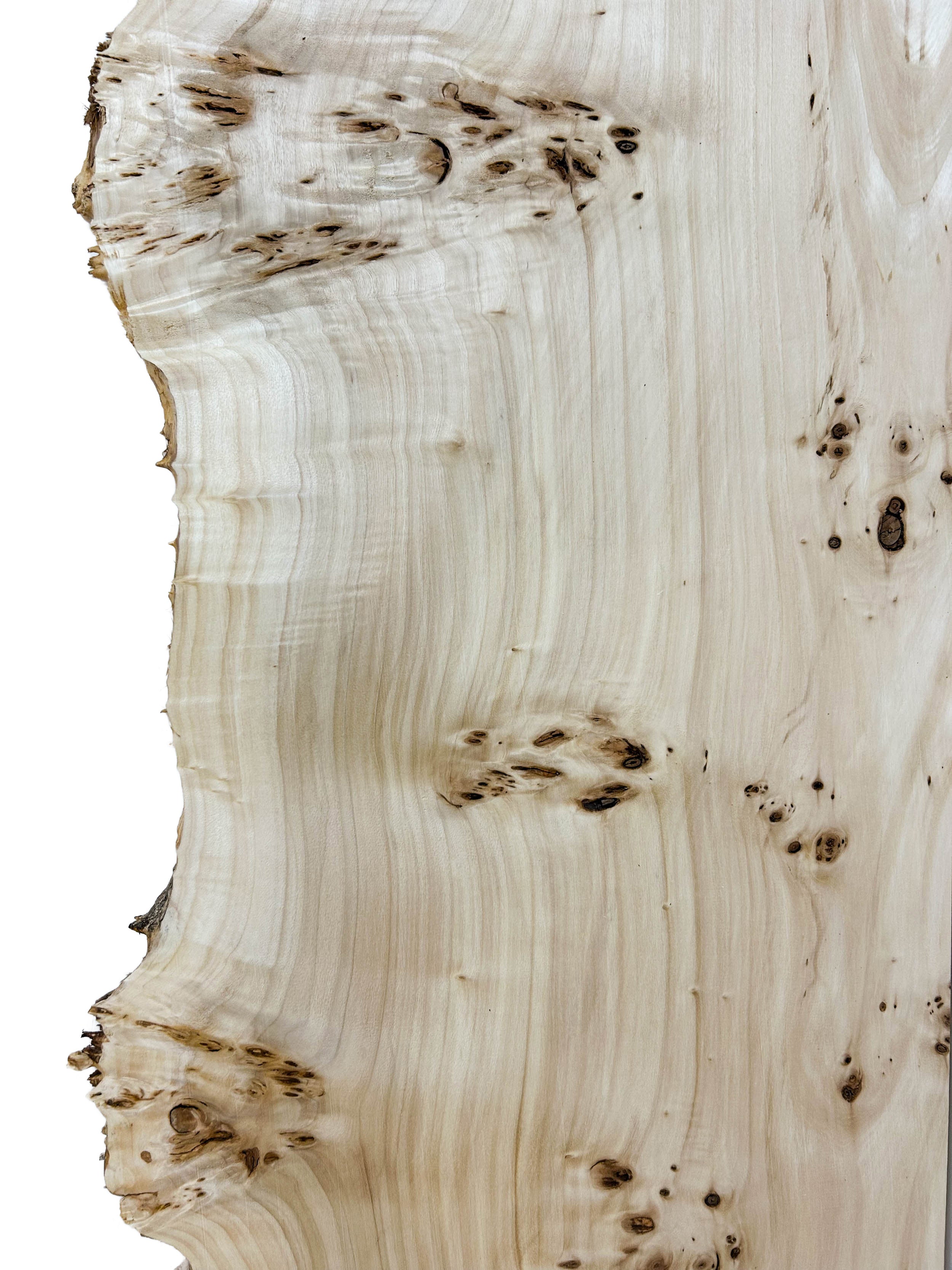 Mappa, European Burl - 36" x 11-14.5" x 3/4" - WE980 – Exotic Lumber